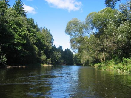 The river Salaca description - Canoeing Center